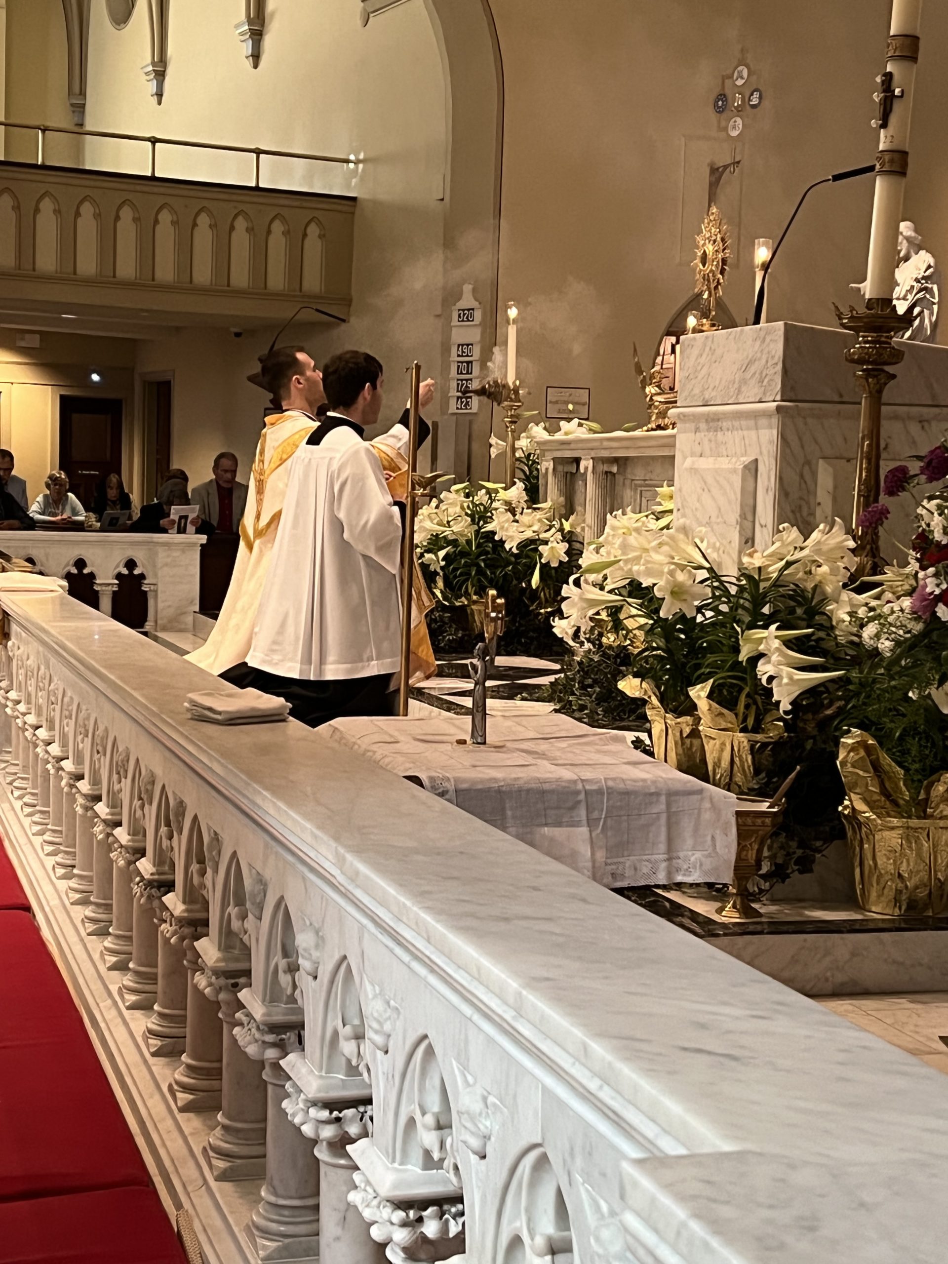 The Basilica of Saint Mary Celebrates Divine Mercy Sunday - The ...