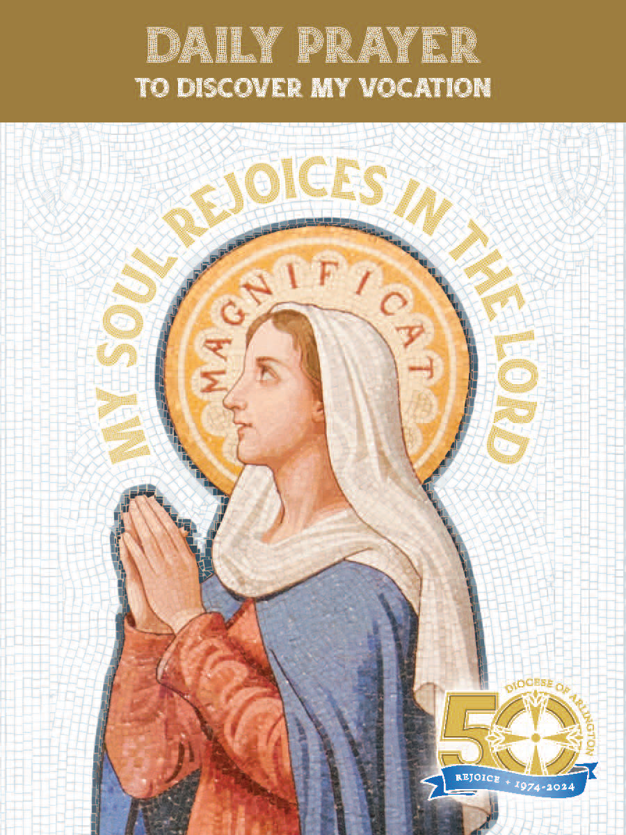 National Vocation Awareness Week Being Celebrated This Week, November 6 ...